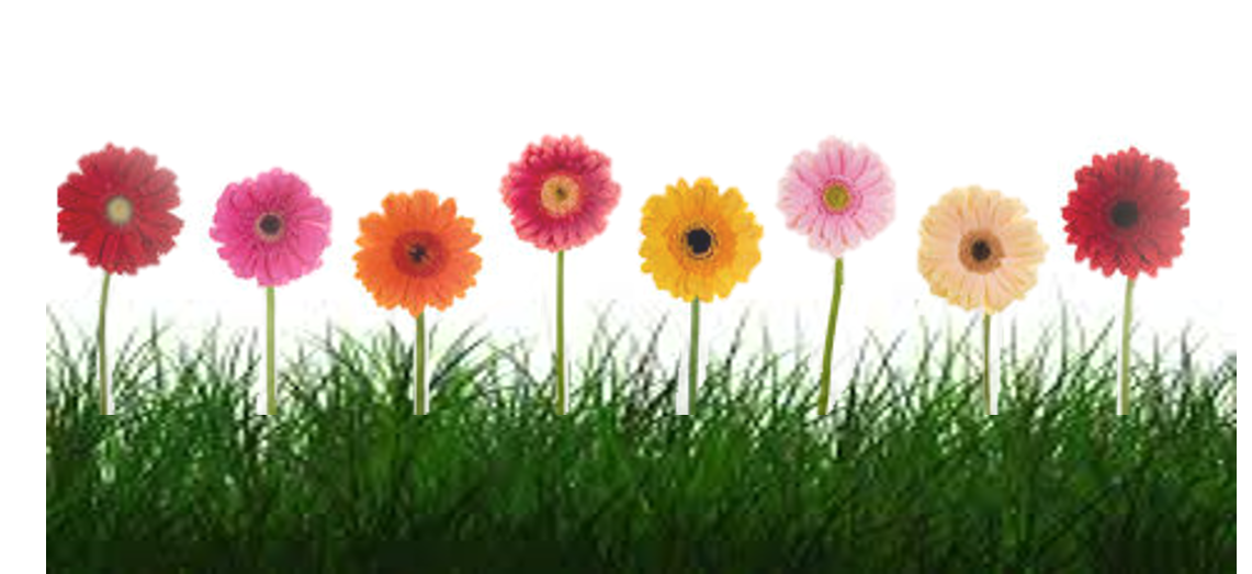 Spring Playgroup